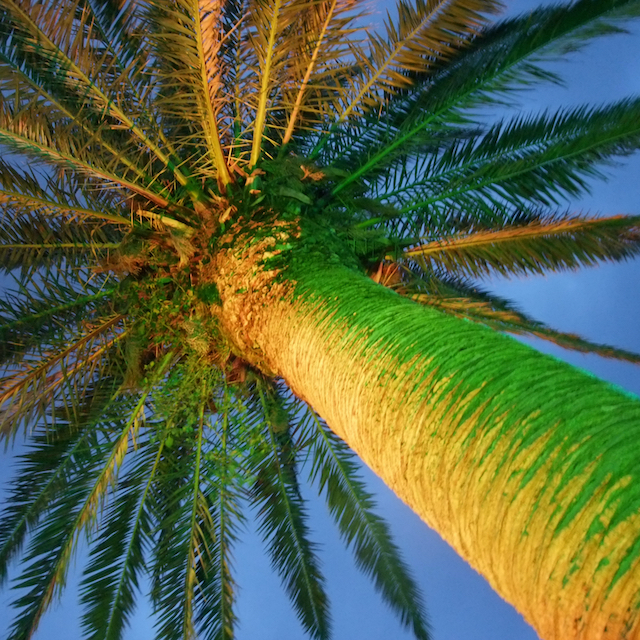 【14.夜踊陰】3-2 – Buddah Nature (Remix) | グルーヴ温泉